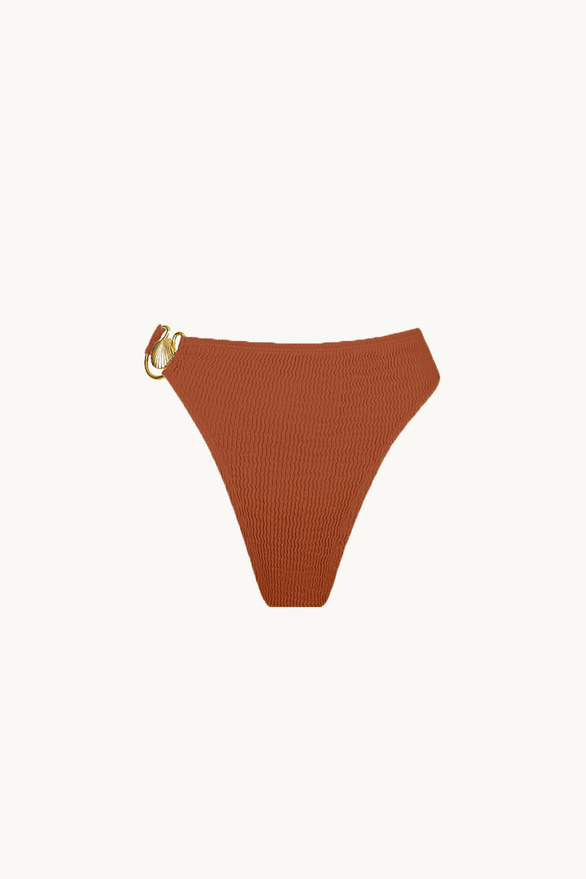 SHELLY HIGH BRIEF - ALL COLOURS